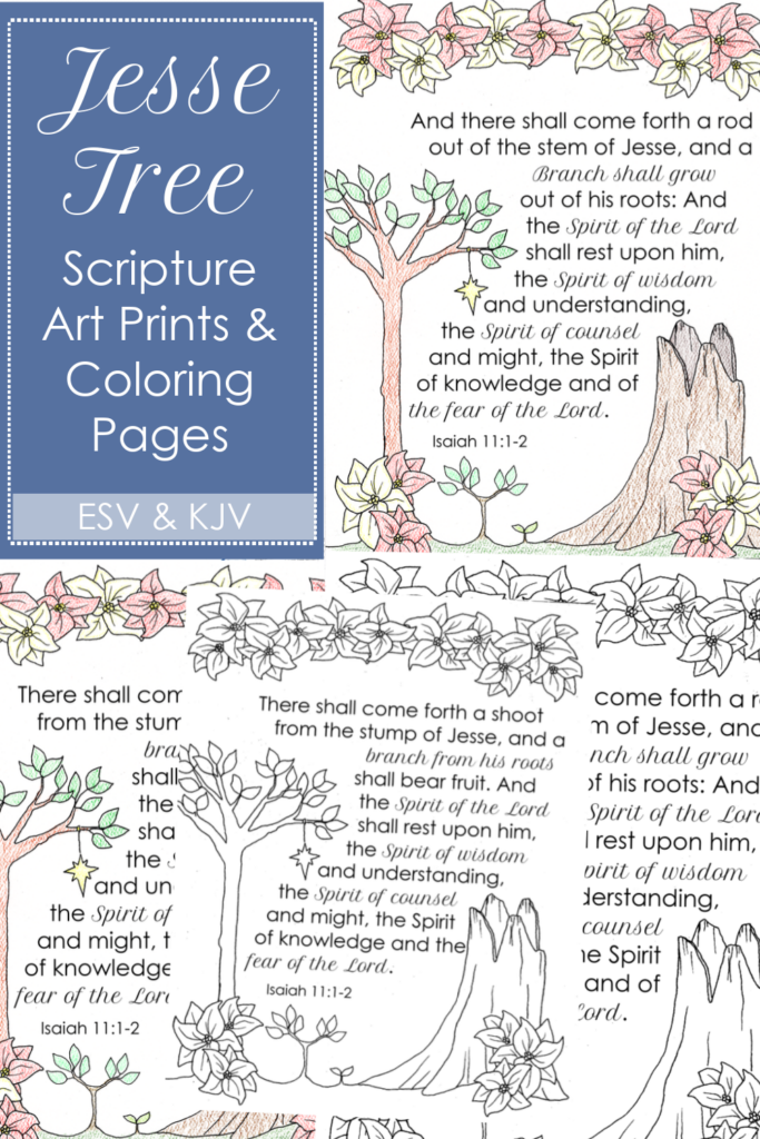 Jesse Tree Scripture Printable Poster & Coloring Page