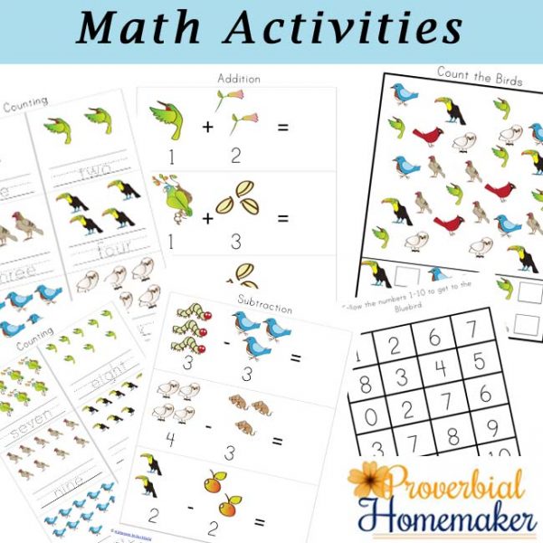 Birds and Their Food Printable Pack - Proverbial Homemaker