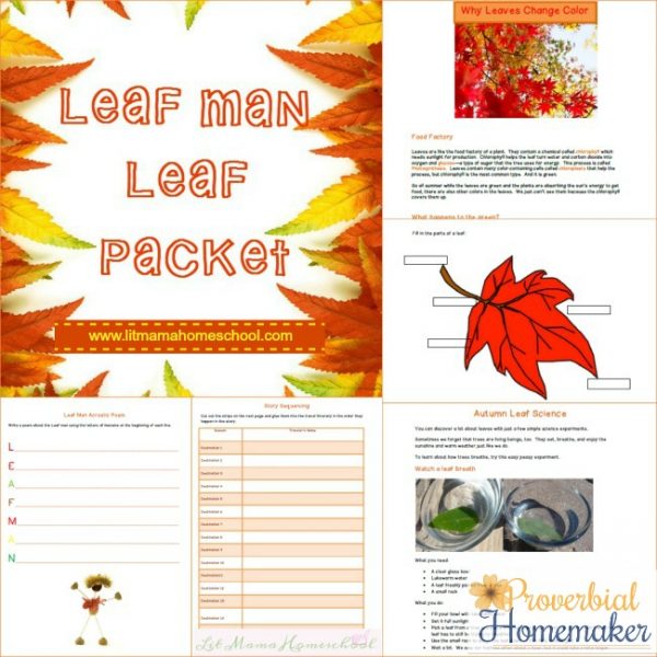 Leaf Man Unit Study (+ FREE Printable!) - Proverbial Homemaker