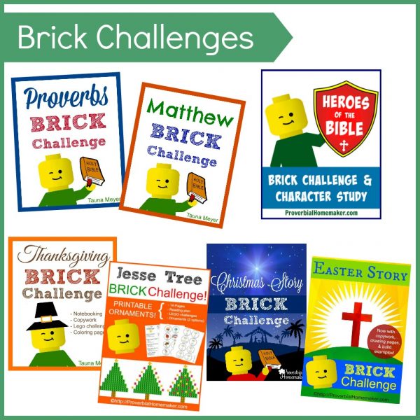Fun Summer Homeschool Ideas & Resources - Proverbial Homemaker