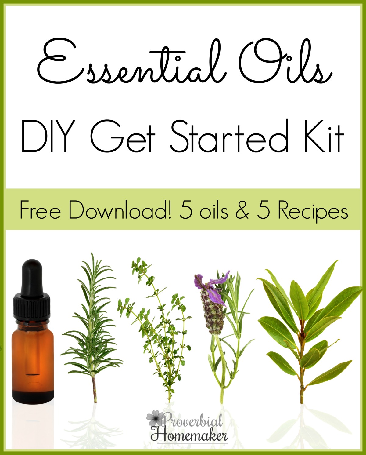 Why We Now Use Rocky Mountain Oils Essential Oils