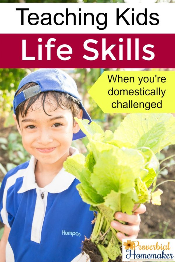 Teaching Kids Life Skills (when you're domestically challenged ...