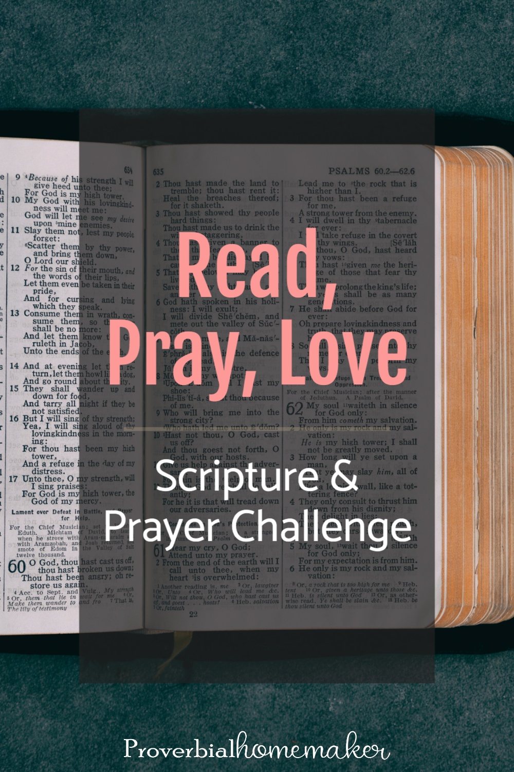 Read, Pray, Love: Scripture & Prayer Challenge Proverbial Homemaker