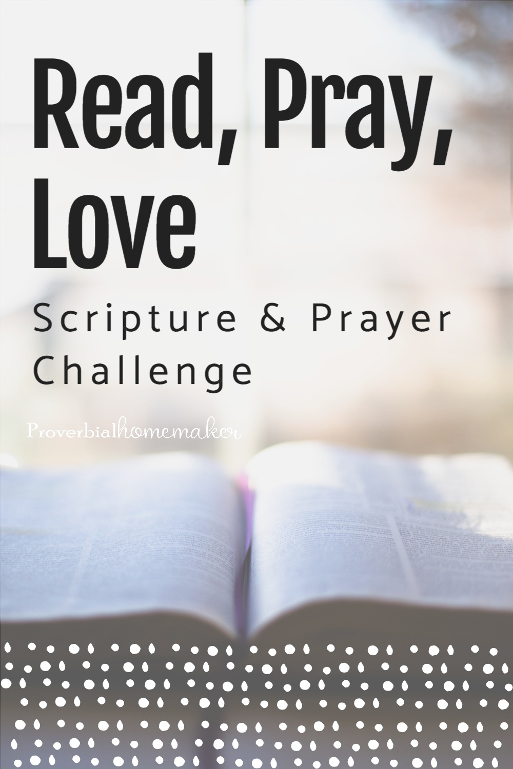 Read, Pray, Love: Scripture & Prayer Challenge Proverbial Homemaker