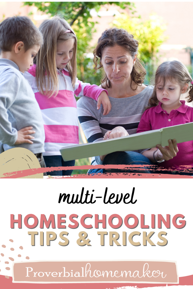 Multi-Level Homeschooling Tips and Tricks