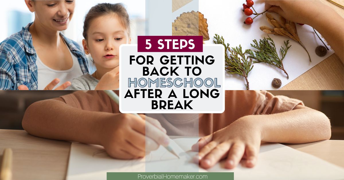 5 Steps for Getting Back to Homeschool After a Long Break