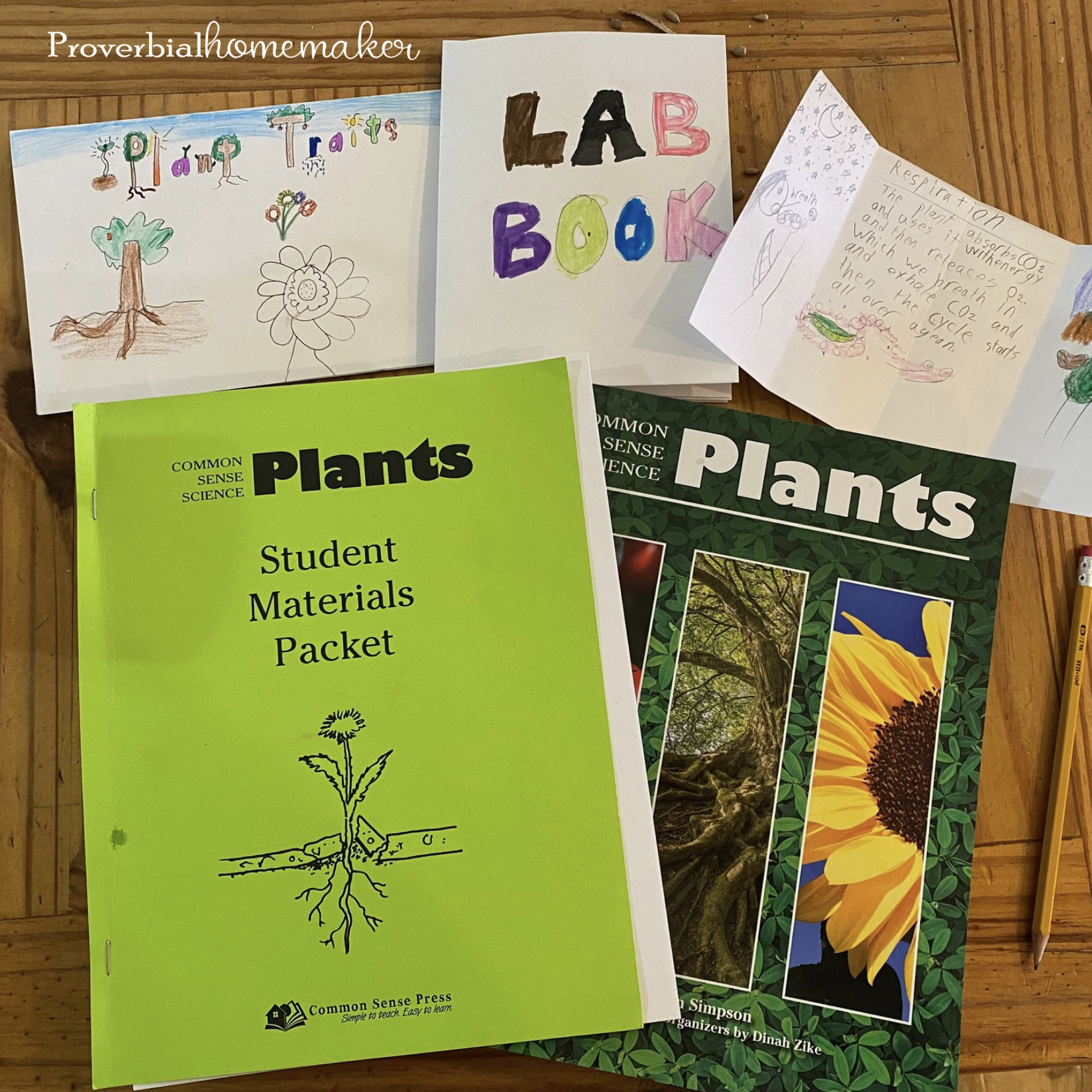 Giveaway: Common Sense Science (Review)