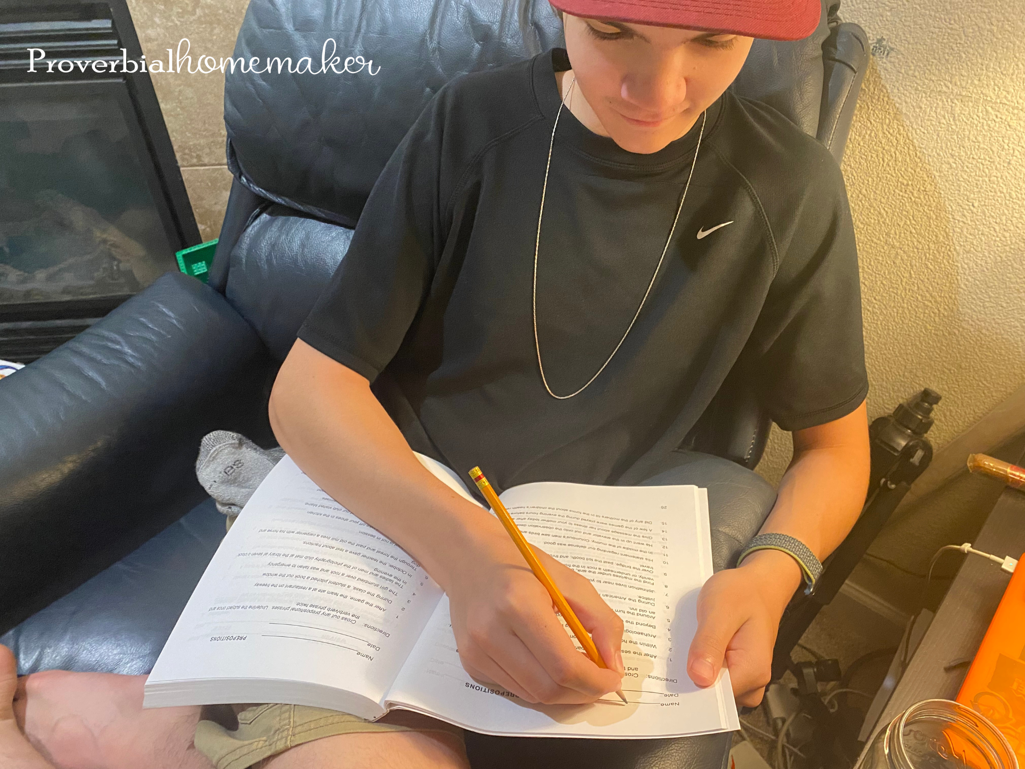 Teaching Homeschool Grammar: A Review of Easy Grammar Curriculum