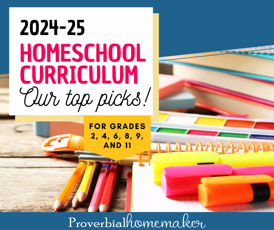 Top Homeschool Curriculum Choices for Busy Mom of 6